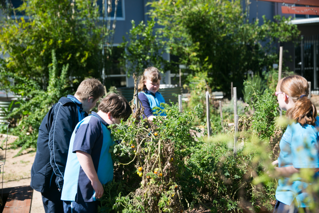 Stephanie Alexander Kitchen Garden Program